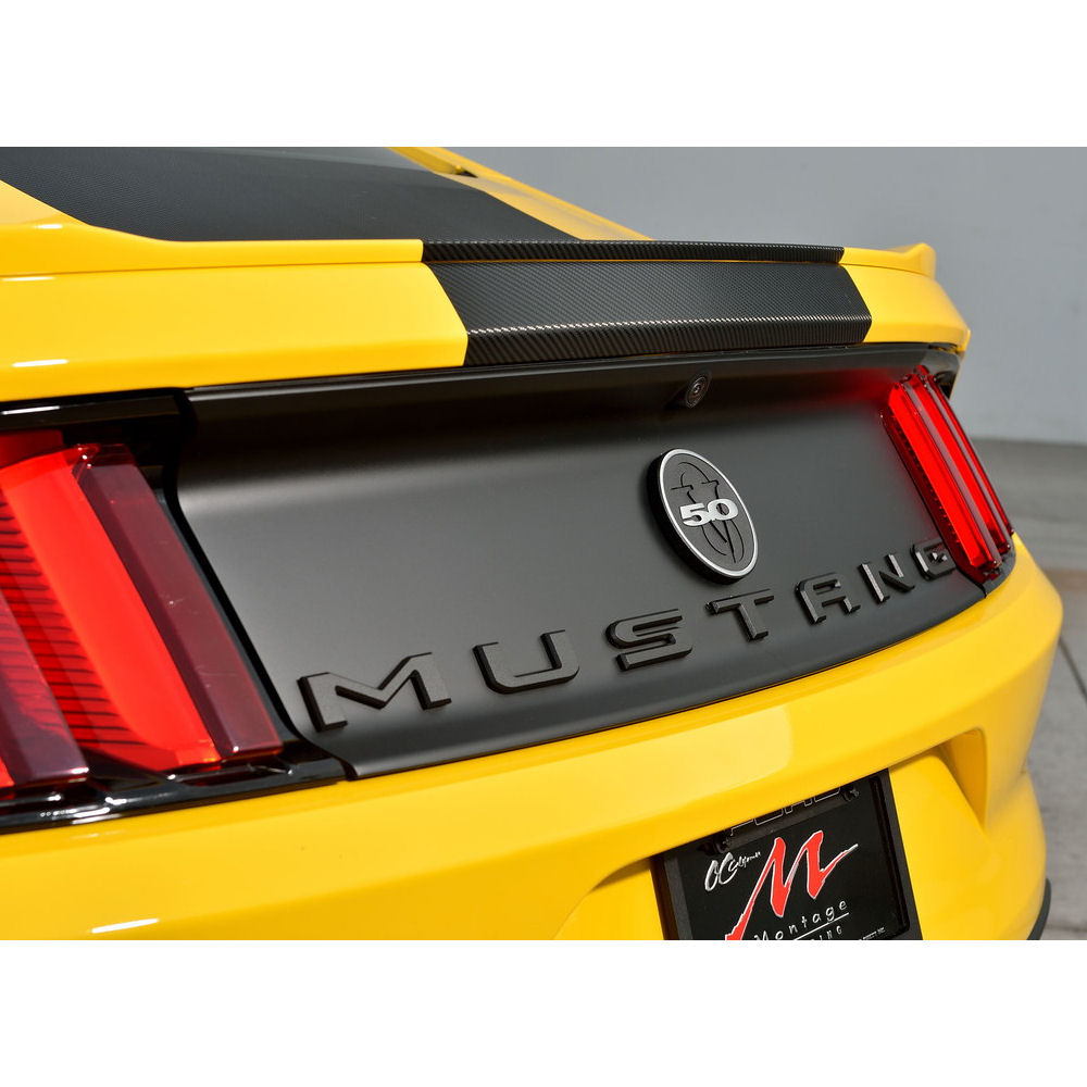 Defenderworx Black Lettering for 2005-2023 Ford Mustang