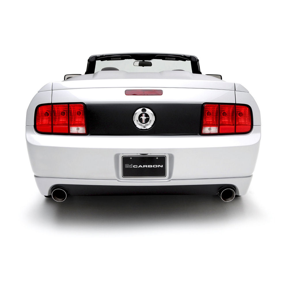 3D Carbon Pony Style Rear Valance 05-09 Ford Mustang V6
